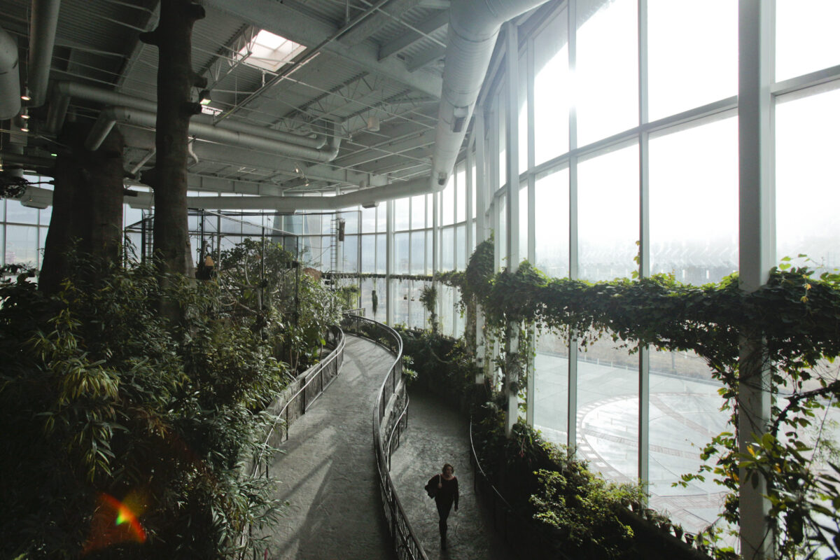 Meeting the sloths of the Loveland Living Planet Aquarium | News ...